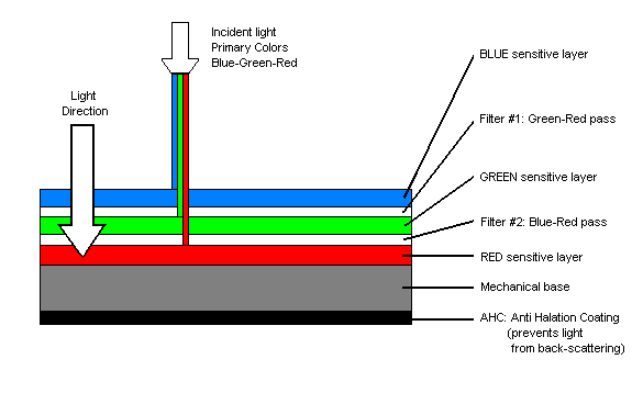ON CONTACT ELECTROPHOTOGRAPHY